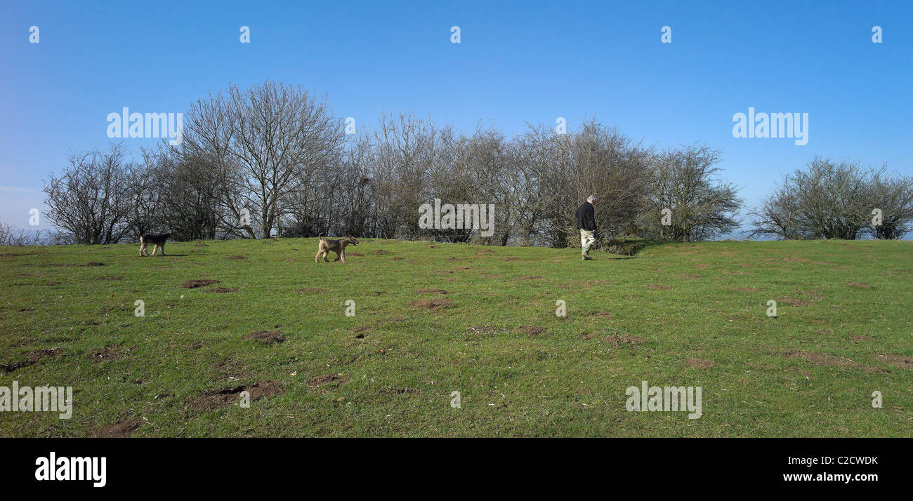 cotswolds view landscape Stock Photo - Alamy