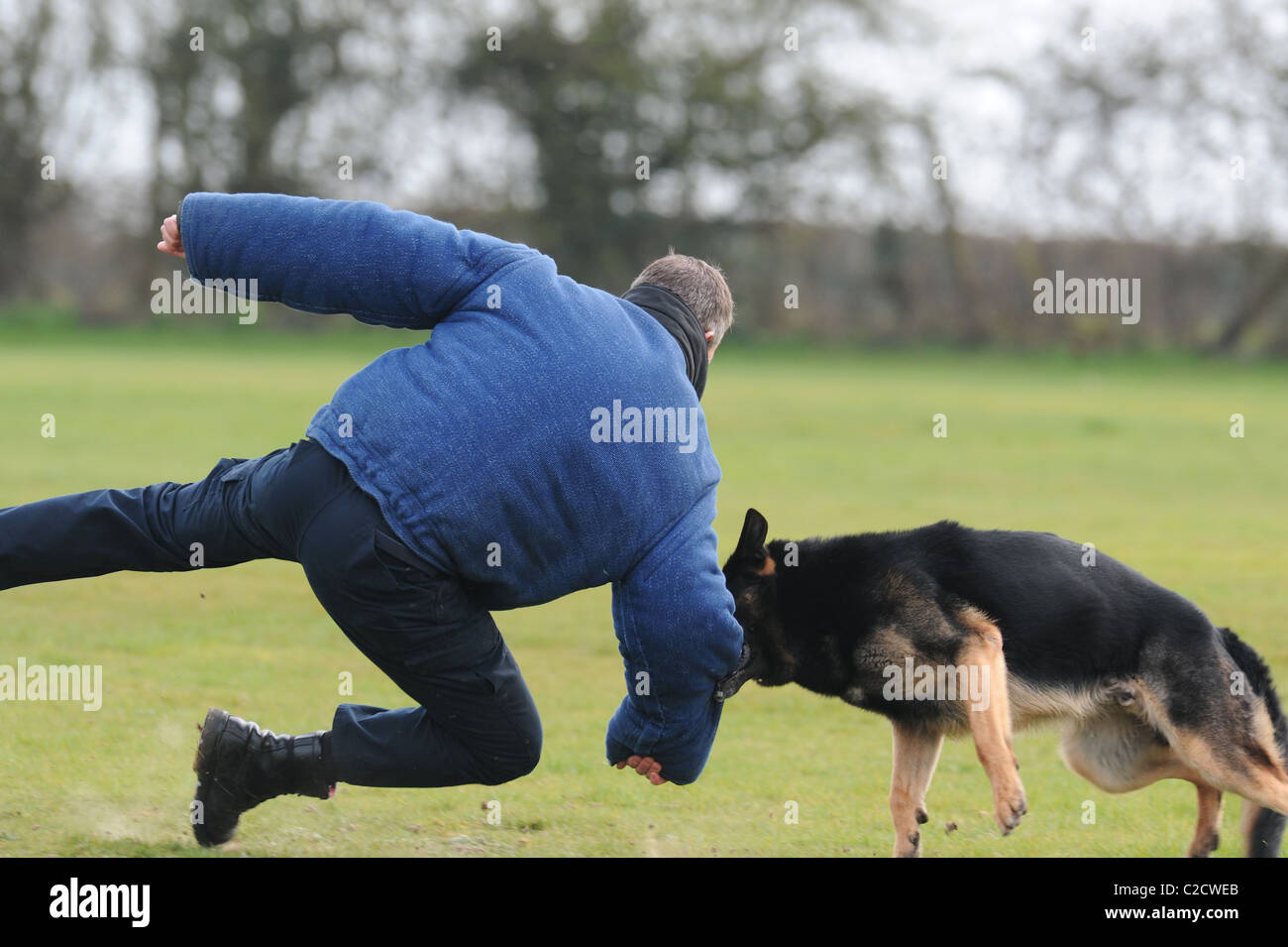 Metropolitan police dog training establishment hi-res stock photography ...