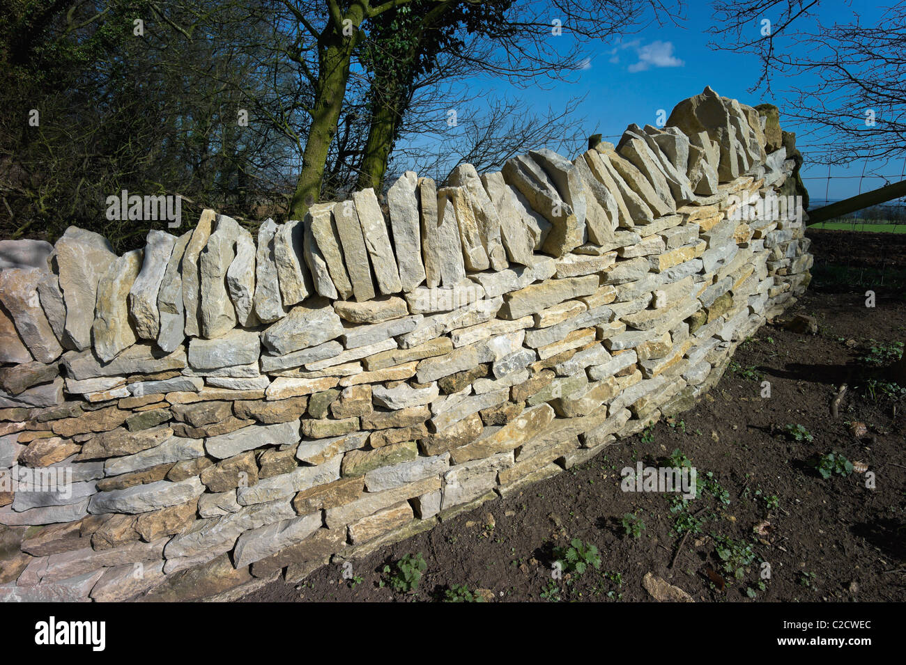 dry stone wall cotswold cotswolds Stock Photo - Alamy
