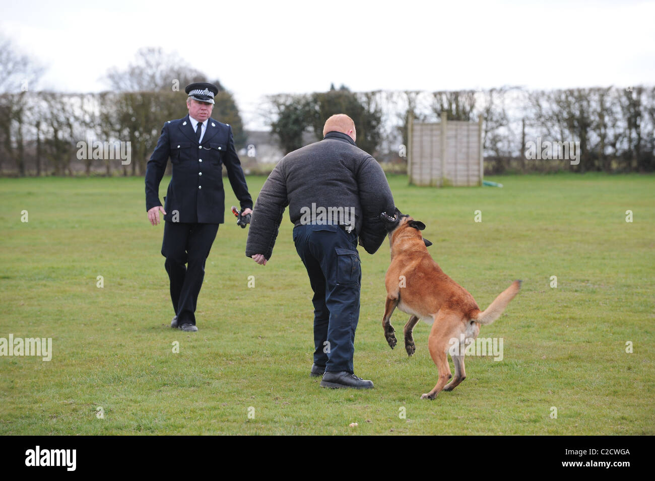Metropolitan police dog training establishment hi-res stock photography ...