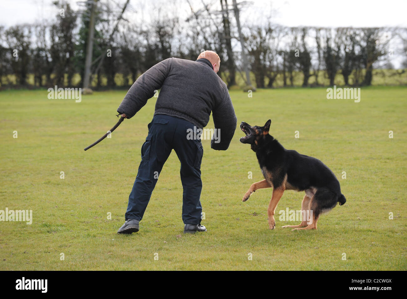 Metropolitan police dog training establishment hi-res stock photography ...