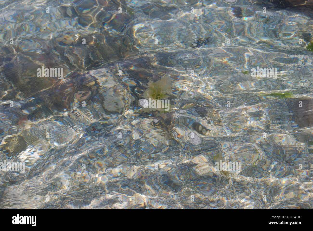 Wave clam texture hi-res stock photography and images - Alamy