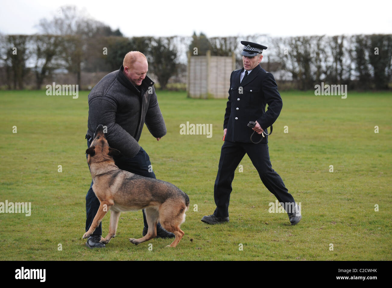 Metropolitan police dog training establishment hi-res stock photography ...