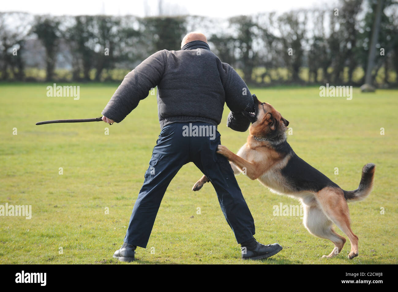 Metropolitan police dog training establishment hi-res stock photography ...
