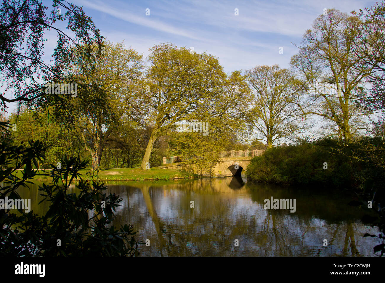A tranquil Spring scene of lovely reflections caught in a calm lake ...
