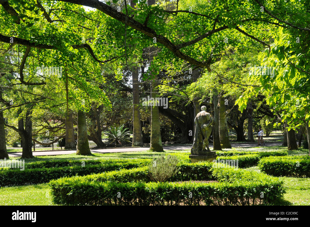 View of the Tropical Botanic Garden, Belém, Lisbon, Portugal Stock Photo - Alamy