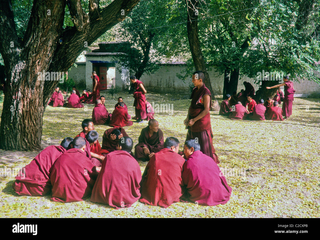 Buddhist monks debating in garden hi-res stock photography and images ...