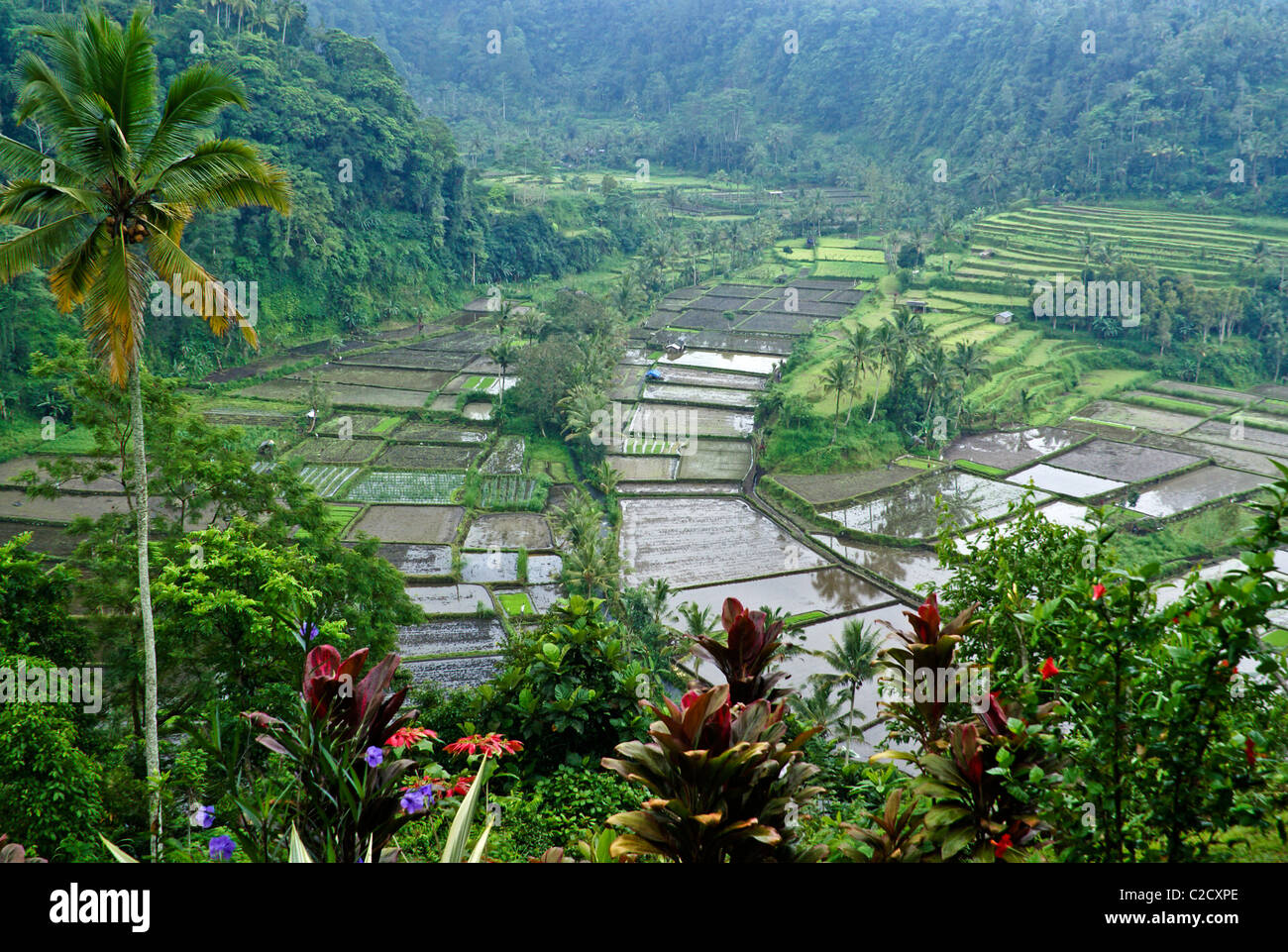 Valley of rice paddies hi-res stock photography and images - Alamy