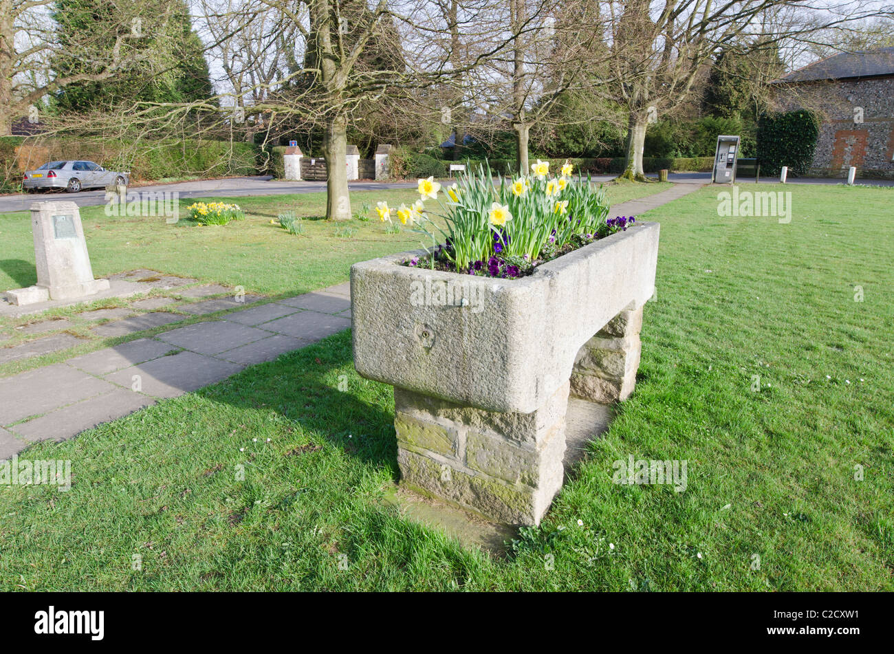 Woldingham village green Daffodils in stone trough Station Road Surrey ...
