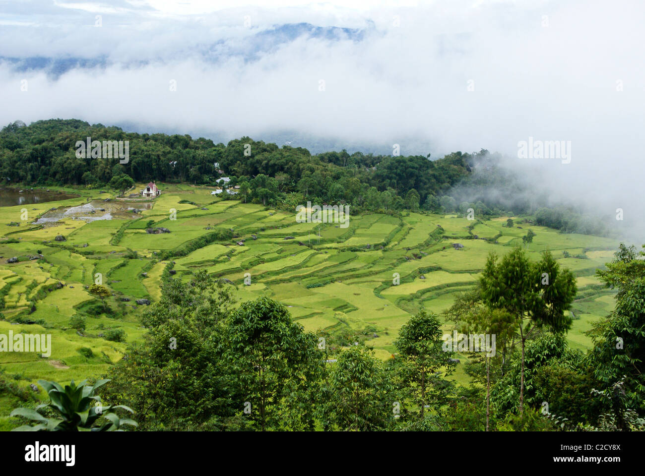Rice terraces at Batutumonga, Tana Toraja, South Sulawesi, Indonesia ...