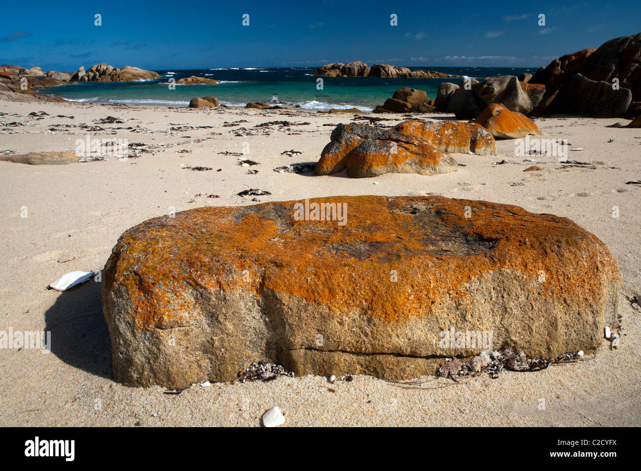 Lichen-coated boulders on the beach at The Dock Stock Photo - Alamy