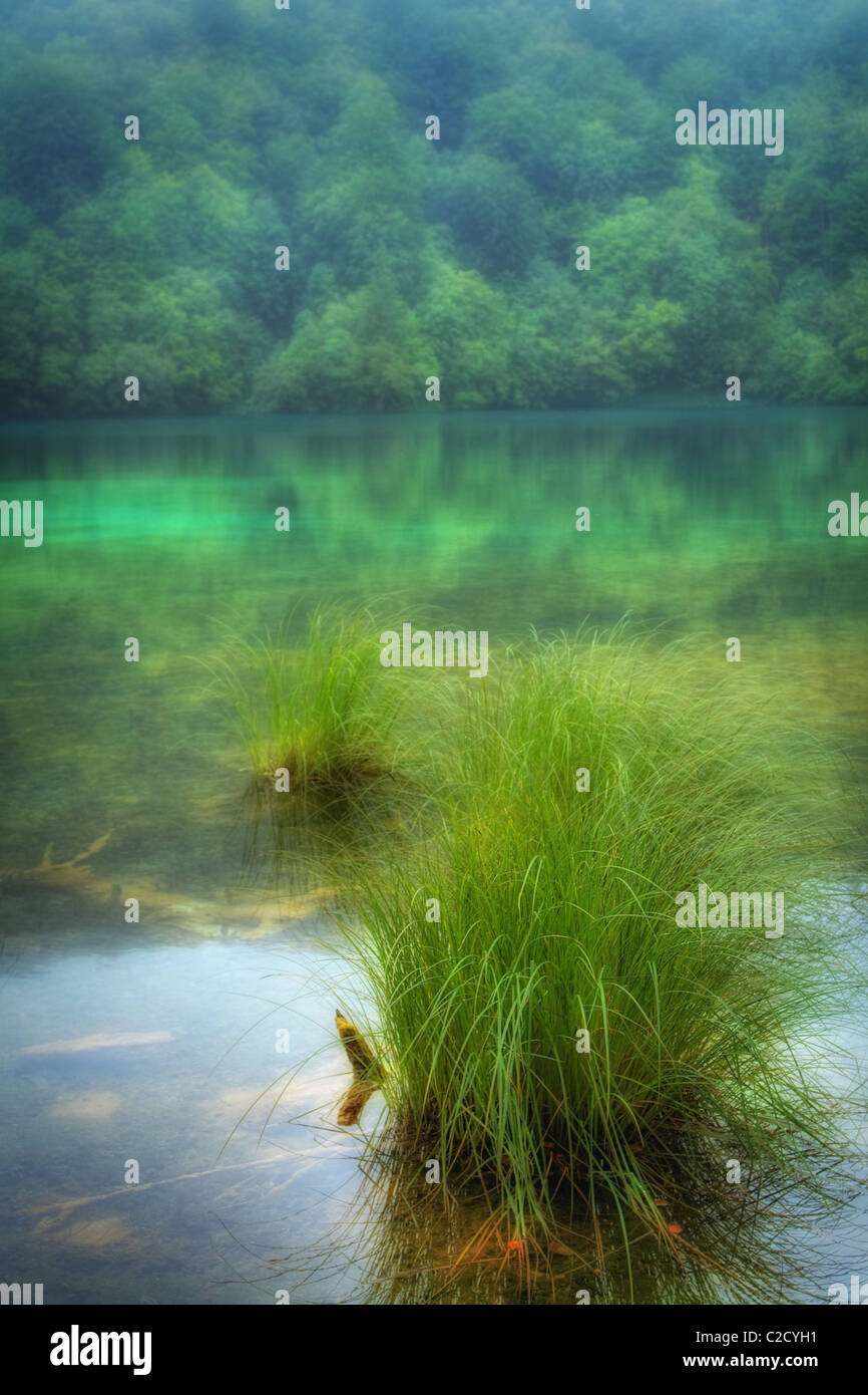 Beautiful untouched nature hi-res stock photography and images - Alamy