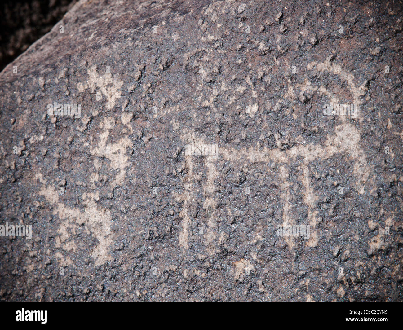 Native American petroglyph's in White Tank Regional park just outside ...