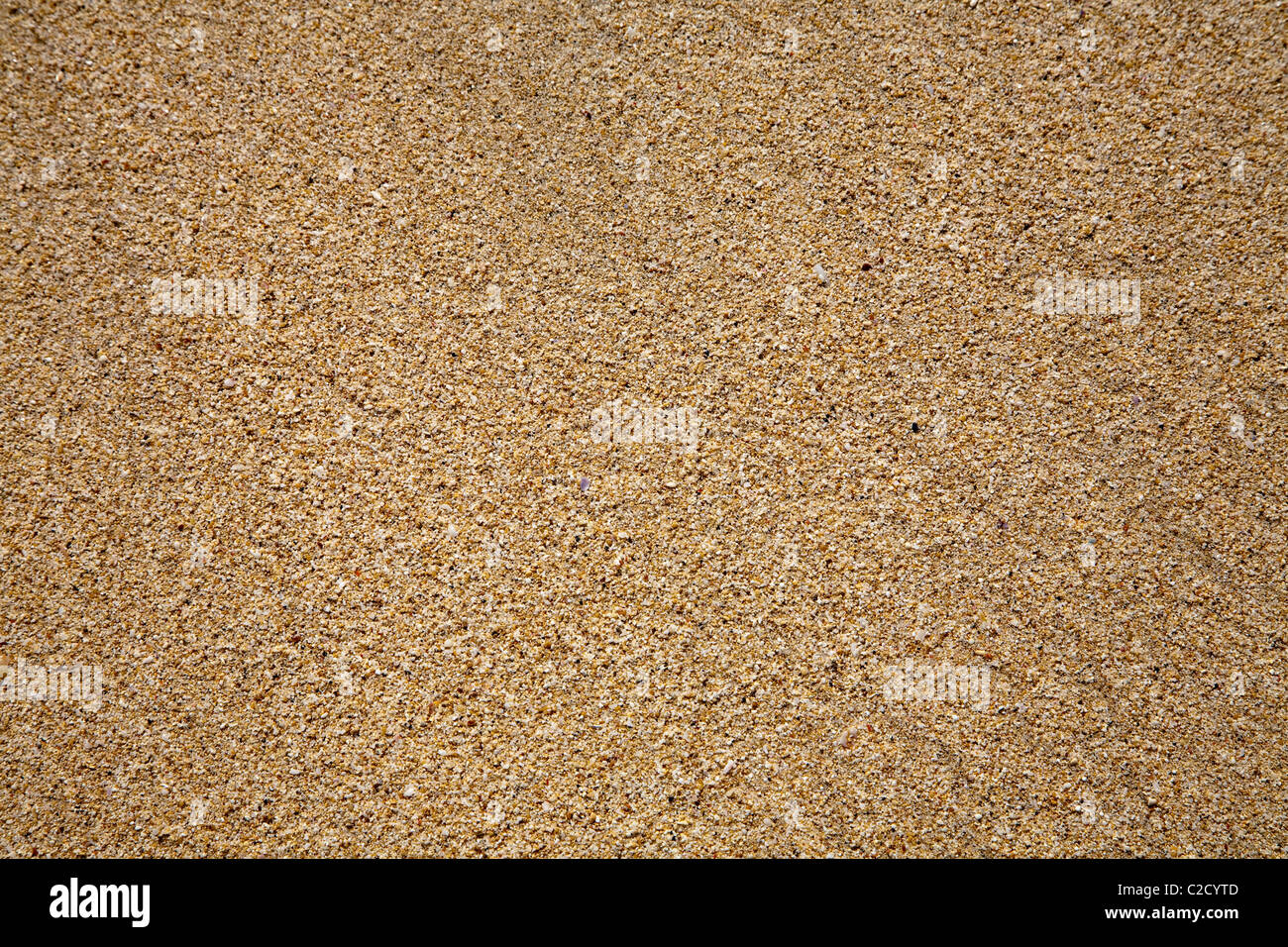 Sand beach close up photo Stock Photo - Alamy