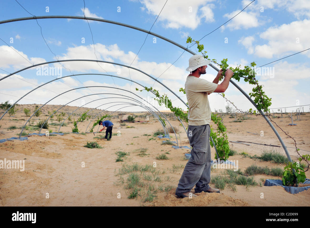 Reclamation Of Deserts High Resolution Stock Photography and Images - Alamy
