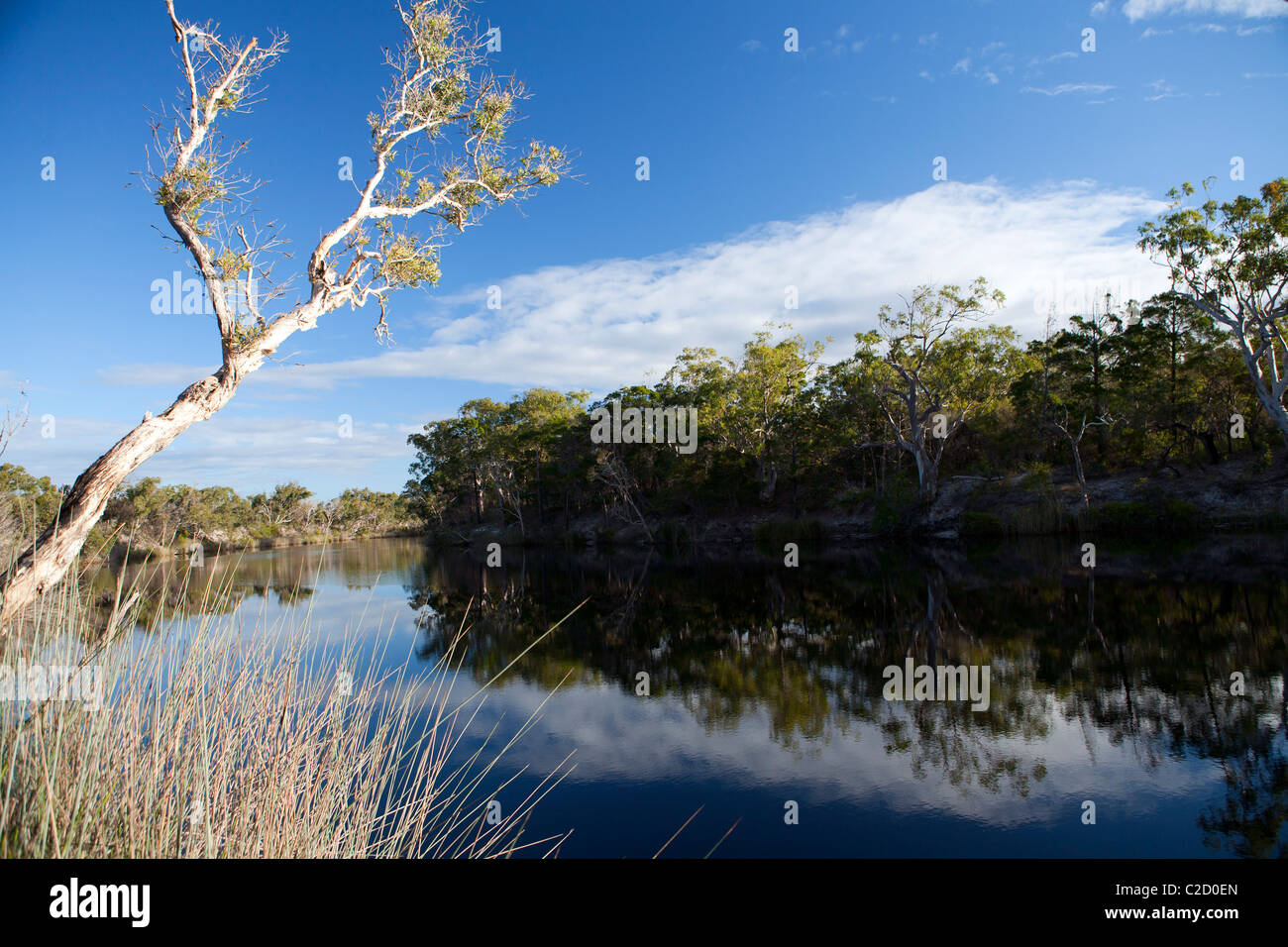 Noosa river hi-res stock photography and images - Alamy