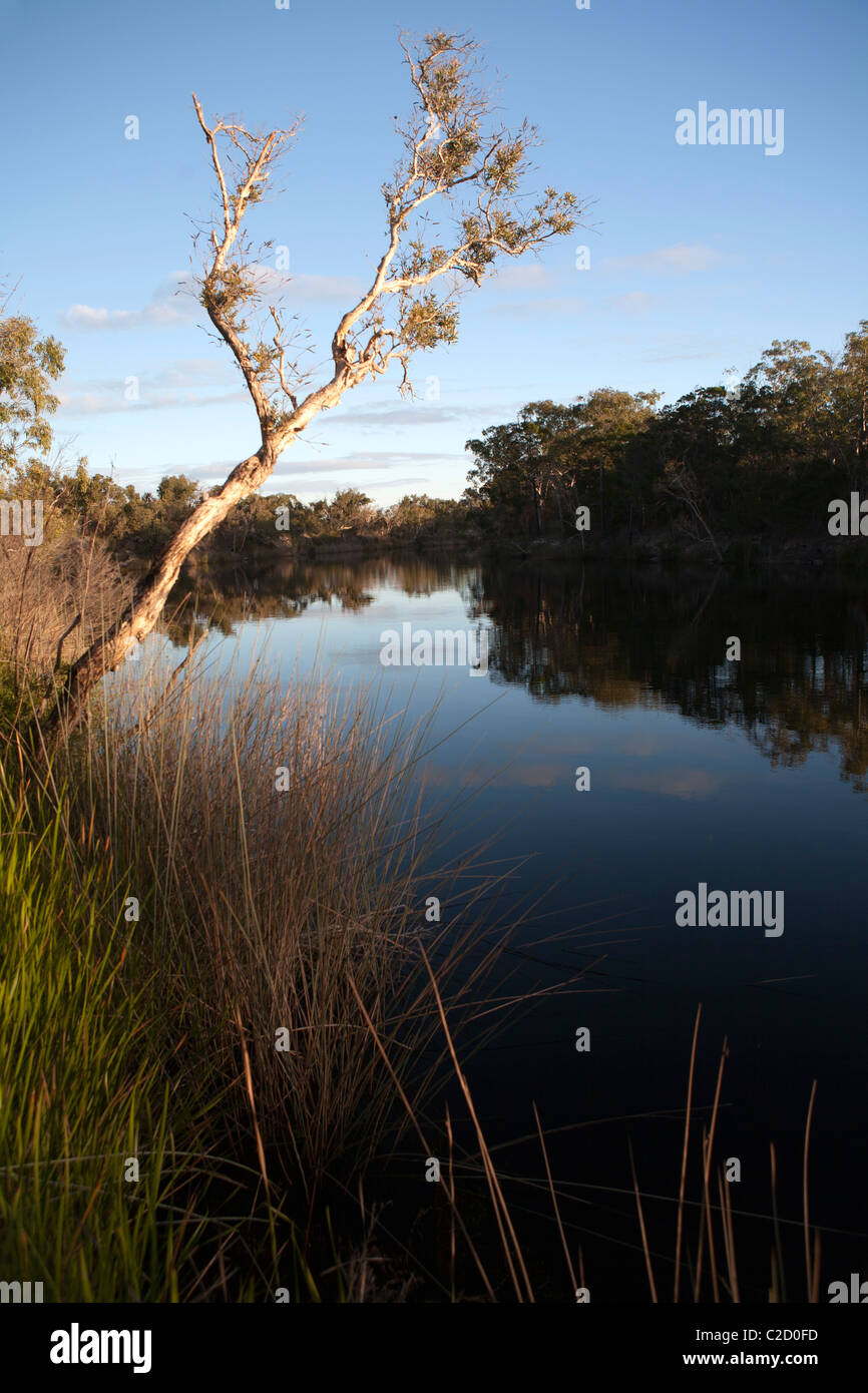 Calm conditions on the Noosa River Stock Photo - Alamy