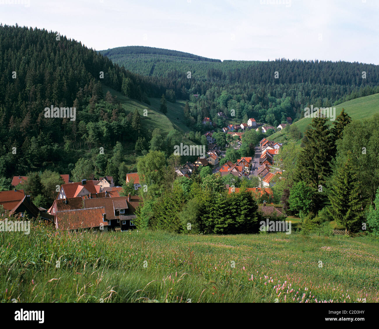 Landschaftspanorama mit dem Gallenberg, der Stadt im Innerstetal und ...