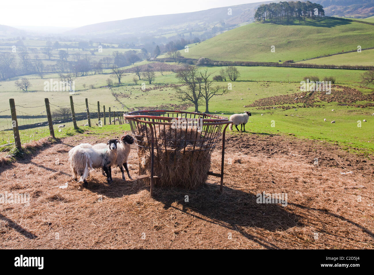Rosedale in the North York Moors, Yorkshire, UK Stock Photo - Alamy