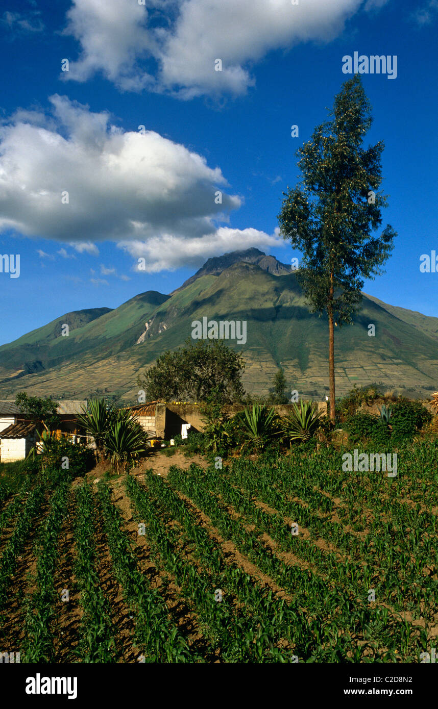 Mount Imbabura Andes Ecuador Stock Photo - Alamy