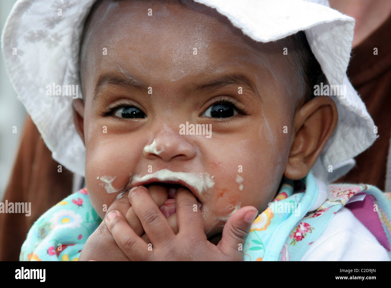 Eight month old black hi-res stock photography and images - Alamy