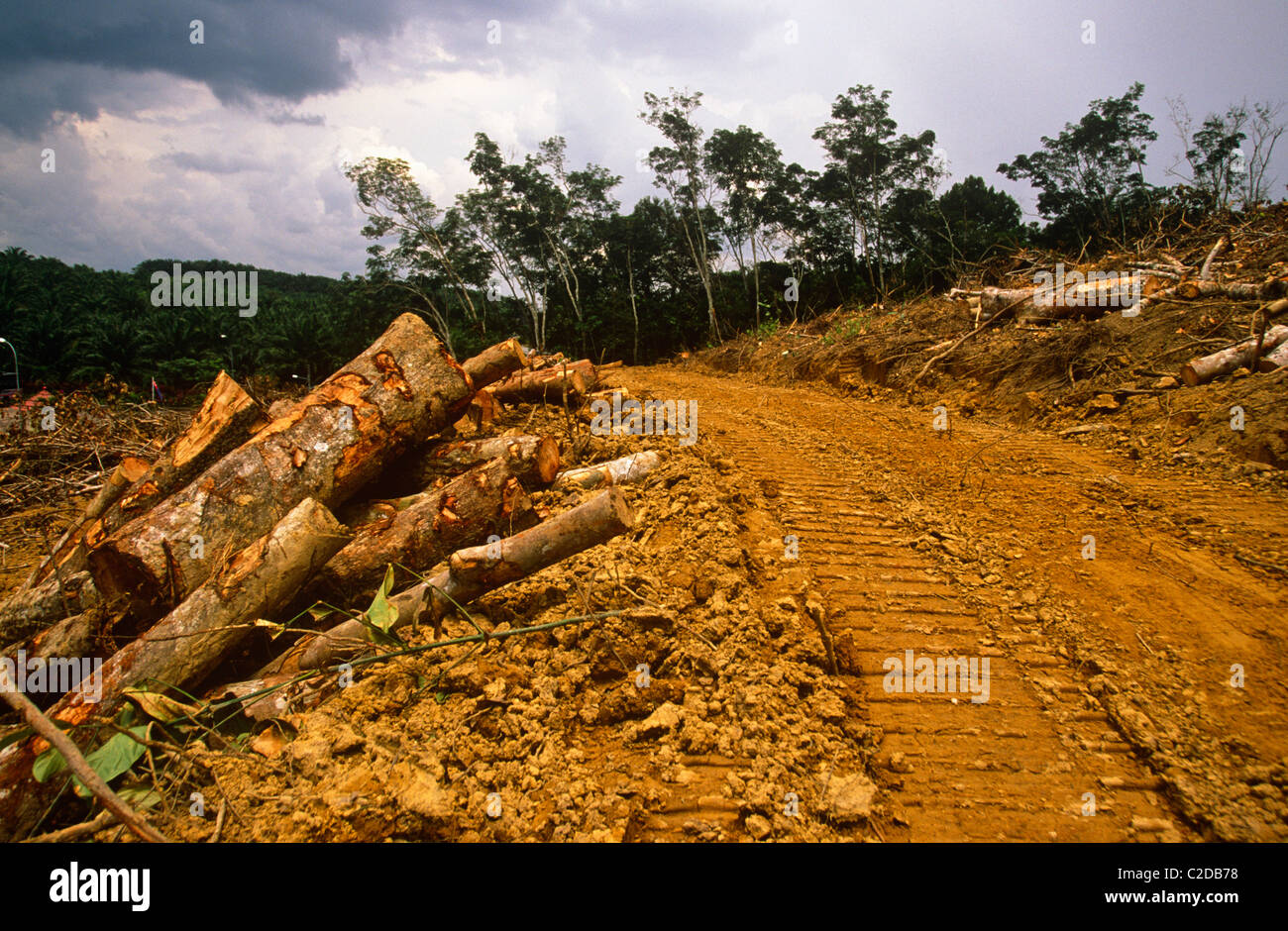 Mersing malaysia hi-res stock photography and images - Alamy