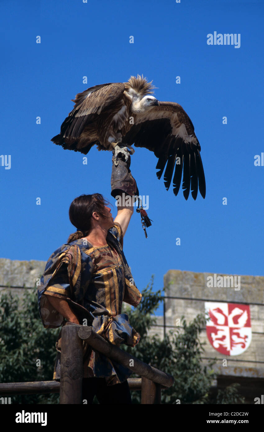 Falconer in Medieval Dress & Griffon Vulture, Gyps fulvus, aka Eurasian ...