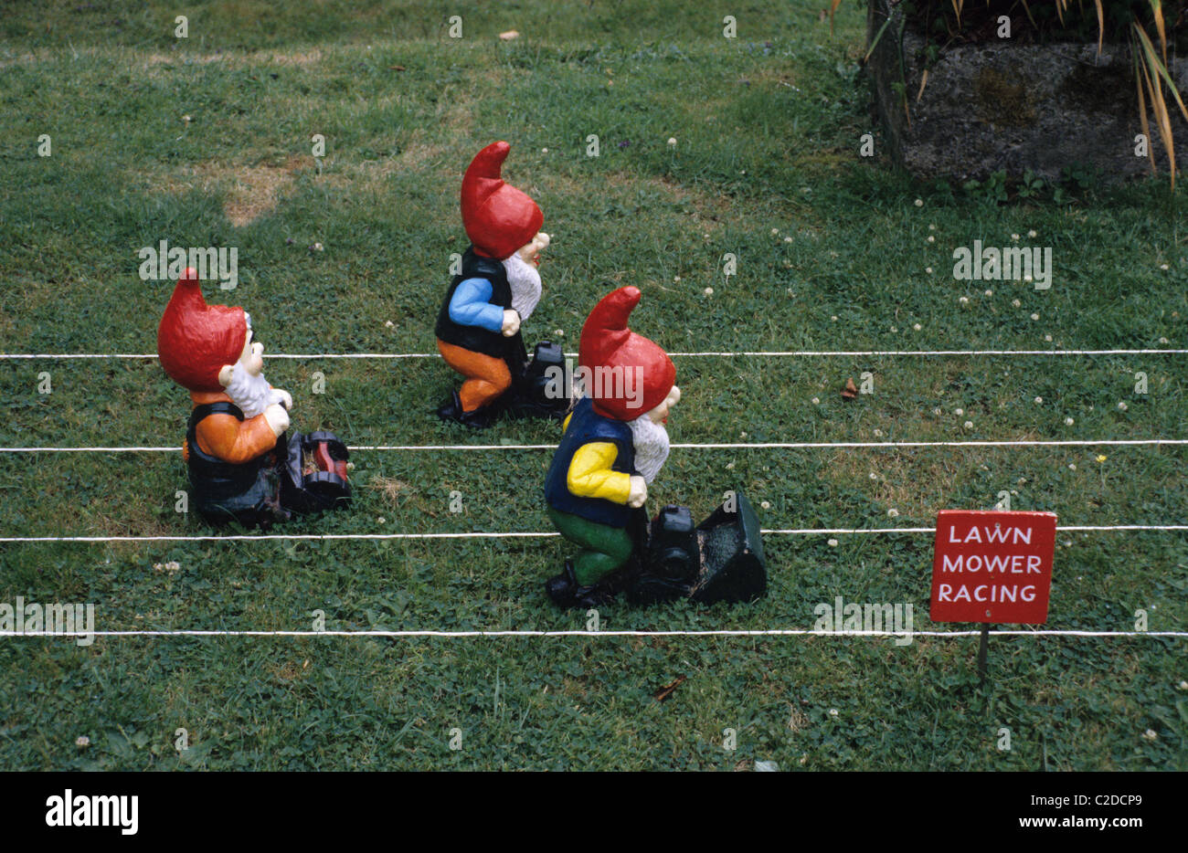 Garden Gnomes Take Part in a Lawn Mower Race or Grass Cutting Race at ...