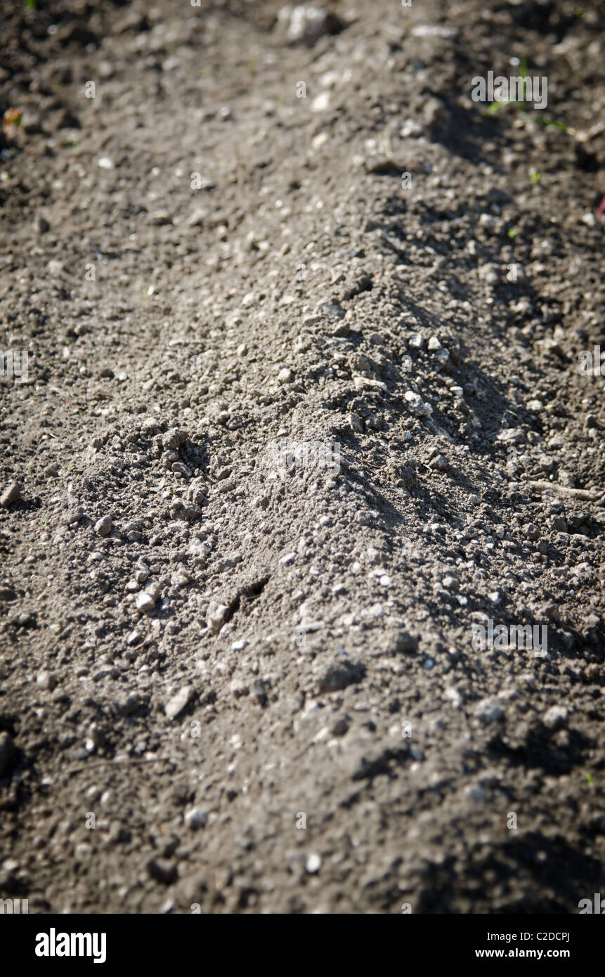 Seed bed hi-res stock photography and images - Alamy