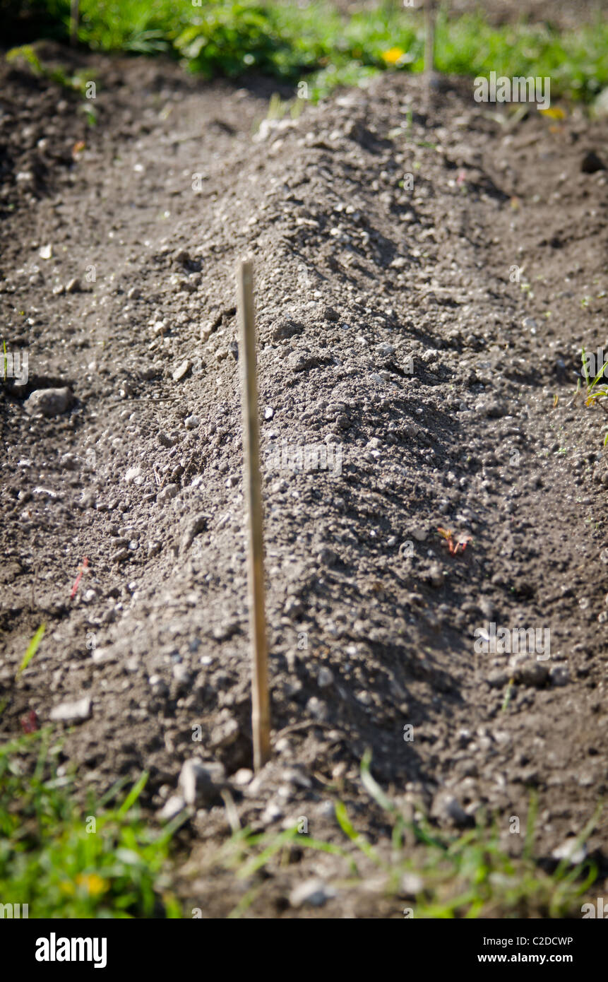 Seed bed hi-res stock photography and images - Alamy