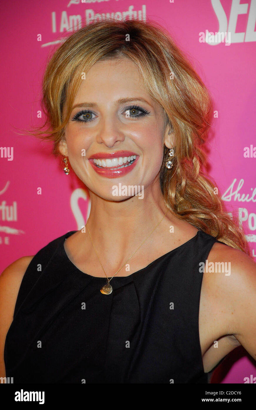 Sarah Michelle Gellar Cocktail Reception to Celebrate CARE Ambassador ...