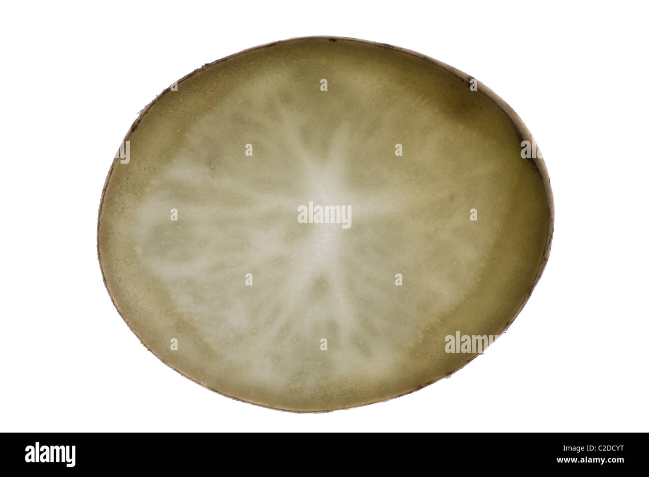 Backlit view hi-res stock photography and images - Alamy