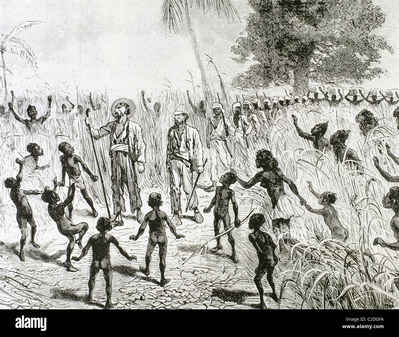 De Brazza High Resolution Stock Photography and Images - Alamy