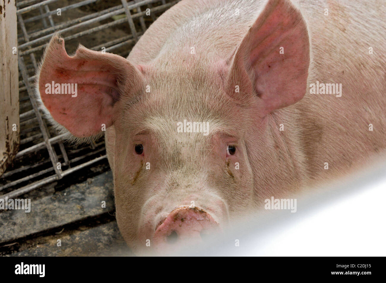 Tipped over truck hi-res stock photography and images - Alamy