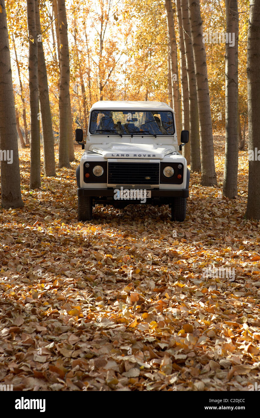 Car. Land Rover Defender in a Forest. LLeida, Spain Stock Photo - Alamy