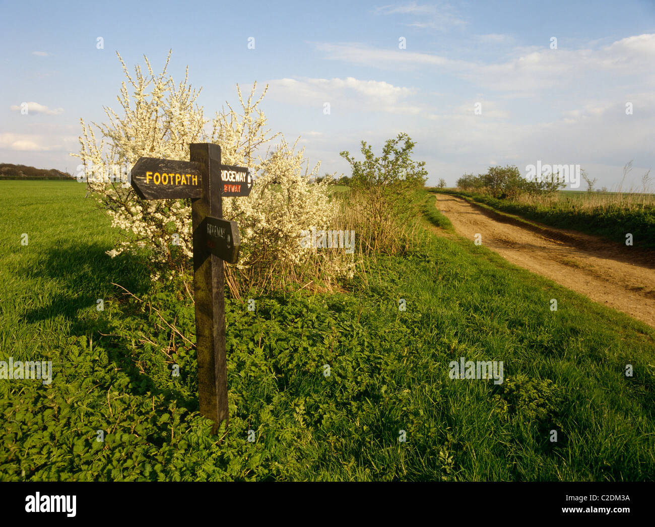Europes oldest road hi-res stock photography and images - Alamy