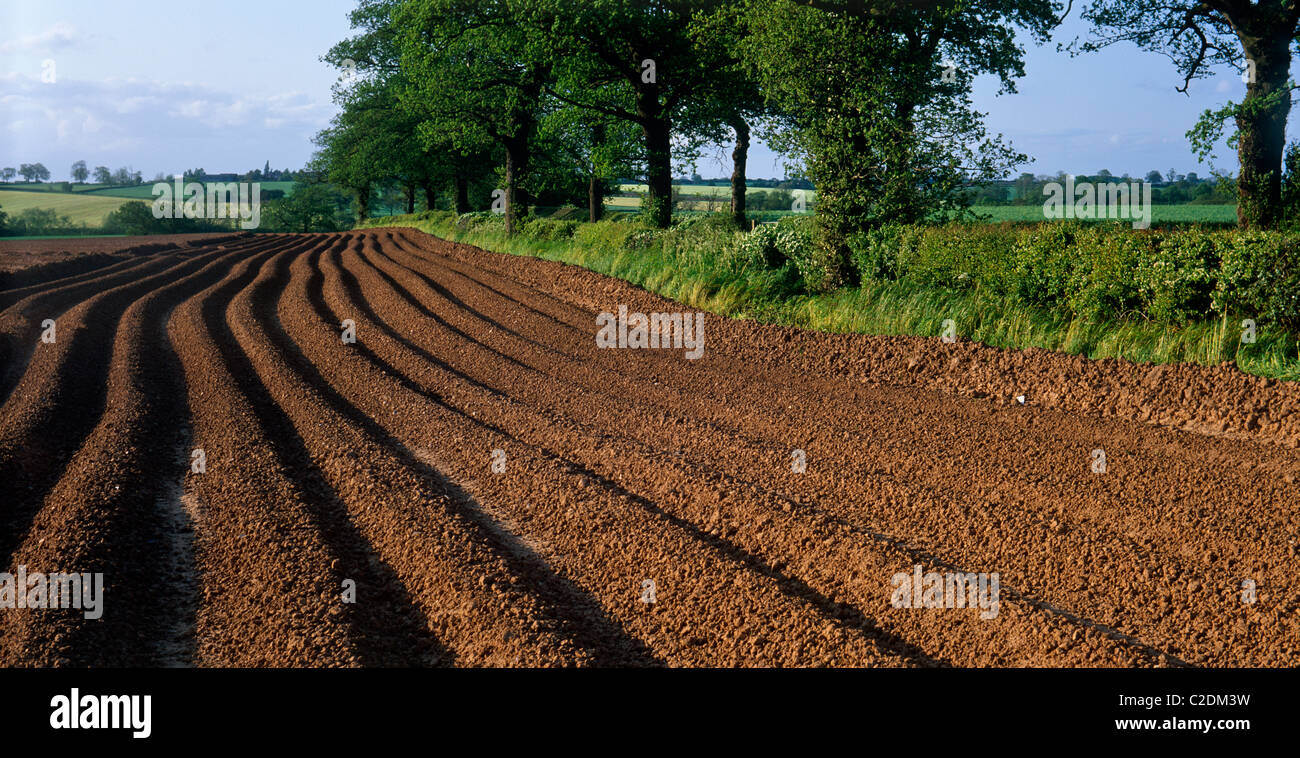 Farm Field Warwickshire England Stock Photo - Alamy
