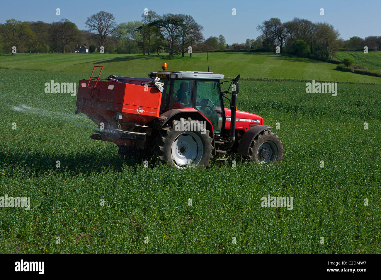 Massey Ferguson 6270 4X4 Tractor spreading fertiliser Stock Photo - Alamy