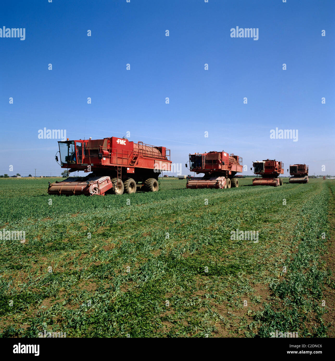 Pea harvester hi-res stock photography and images - Alamy