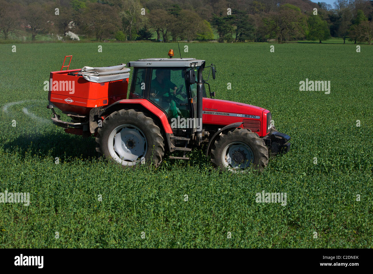 Massey Ferguson 6270 4X4 Tractor spreading fertiliser Stock Photo - Alamy