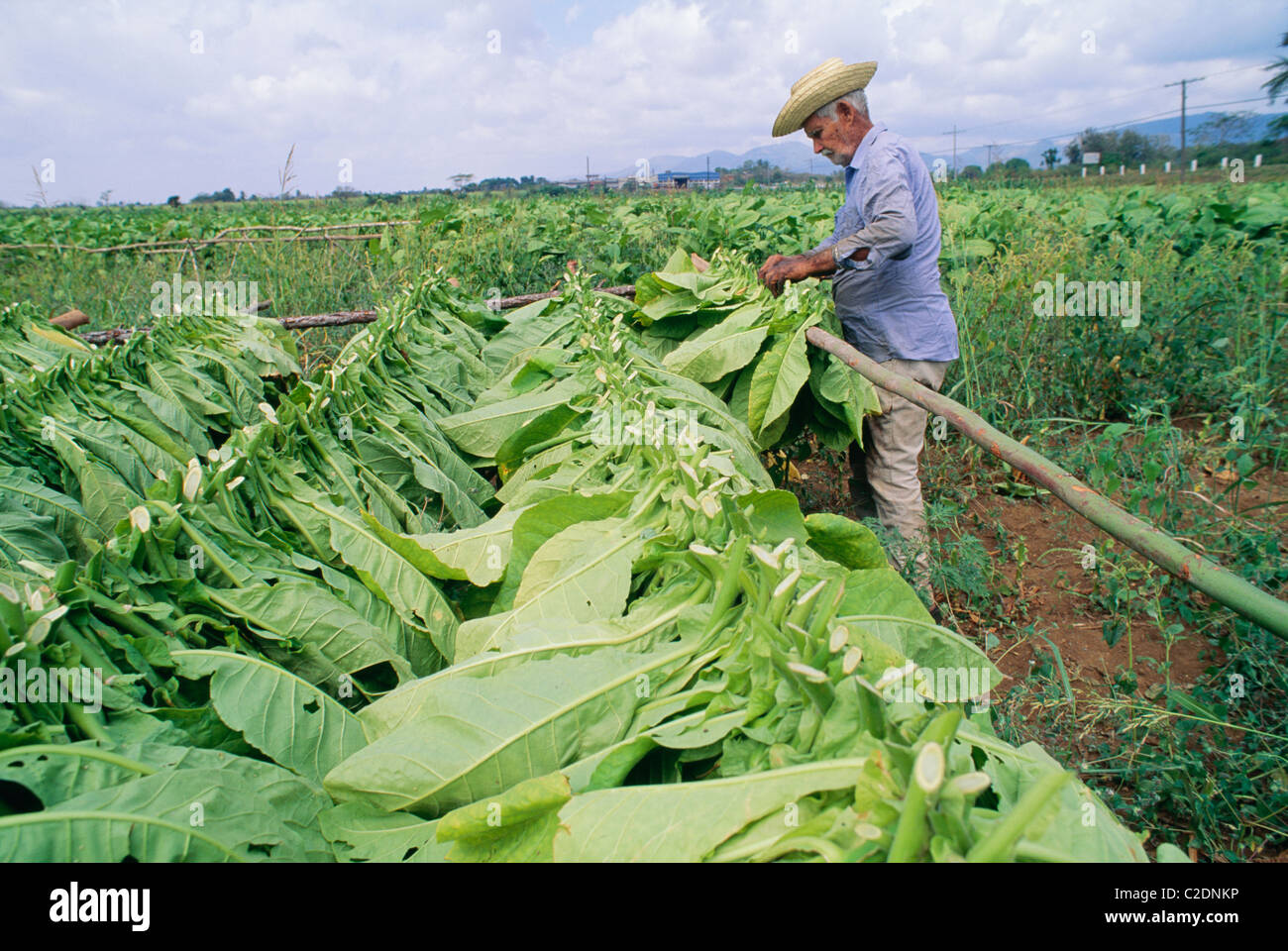 Fierro Cuba Stock Photo - Alamy