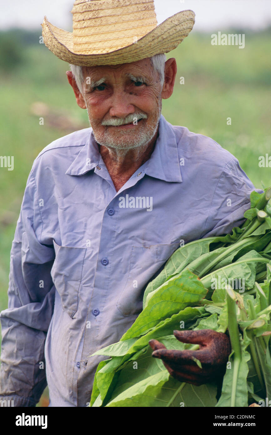 Del fierro hi-res stock photography and images - Alamy