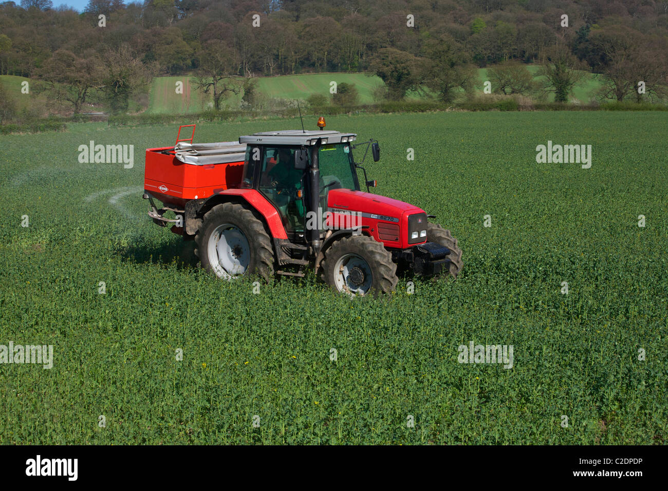 Massey Ferguson 6270 4X4 Tractor spreading fertiliser Stock Photo - Alamy