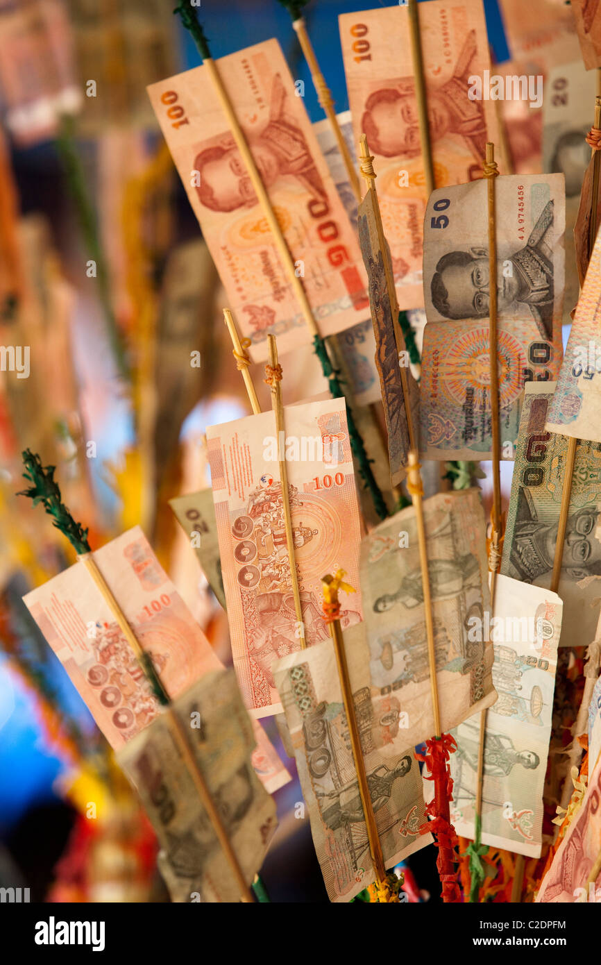 Money tree for donation something public service, In this time for one ...