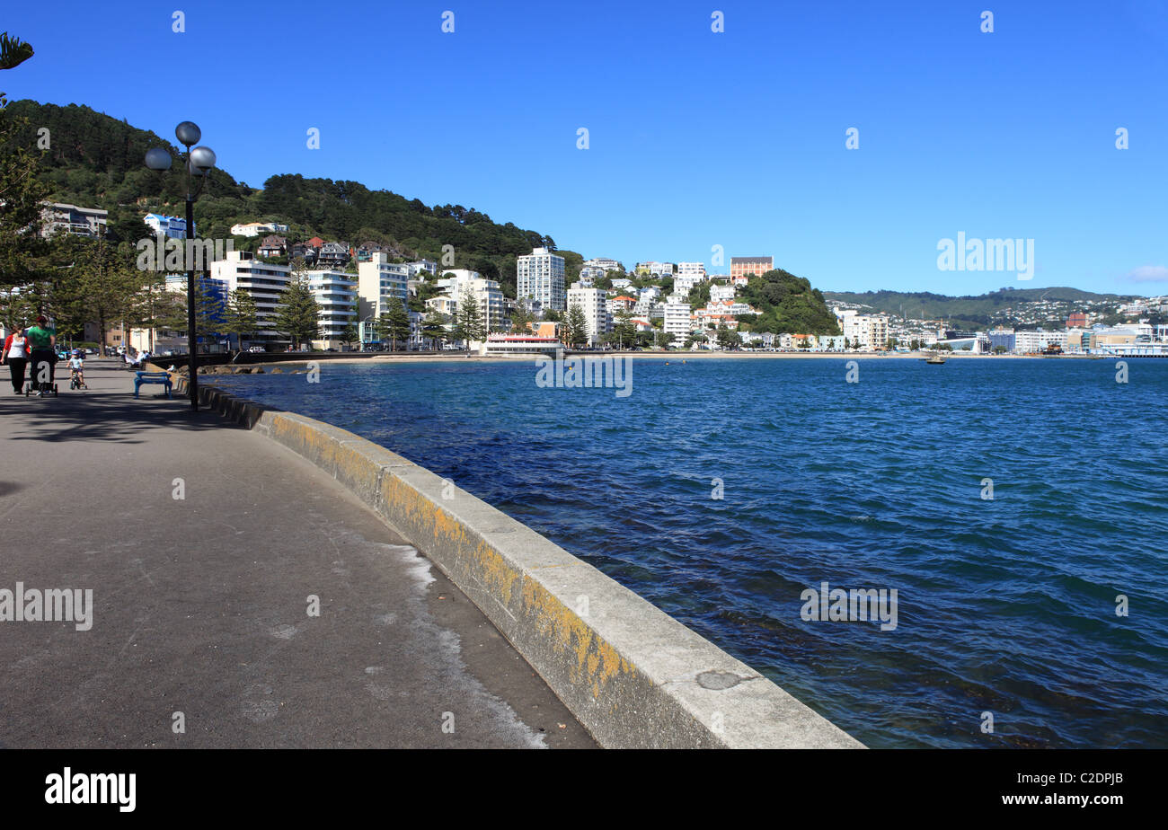 Wellington waterfront walkway hi-res stock photography and images - Alamy