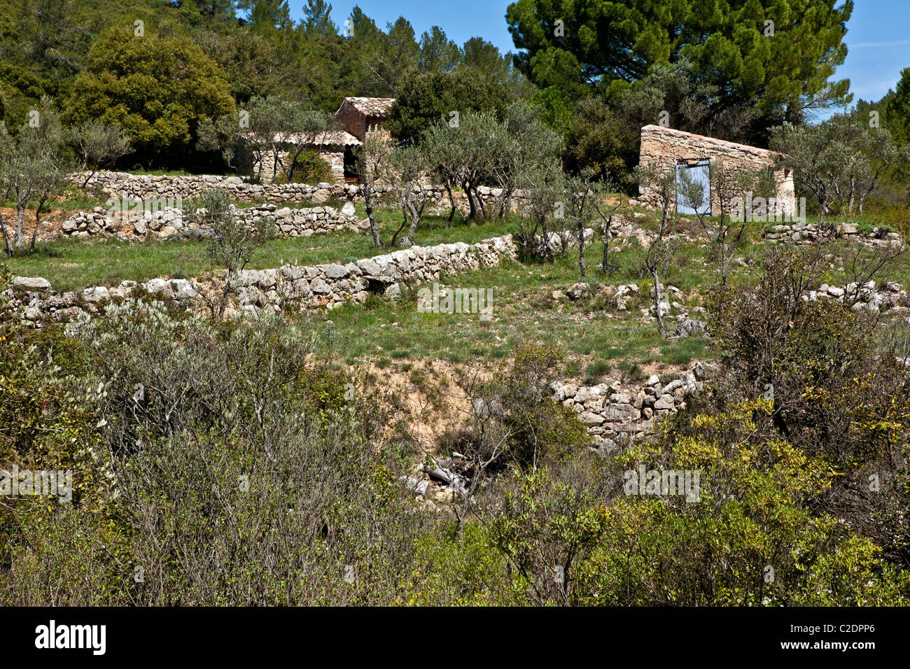 In and around the village of Cotignac (Var,France Stock Photo - Alamy
