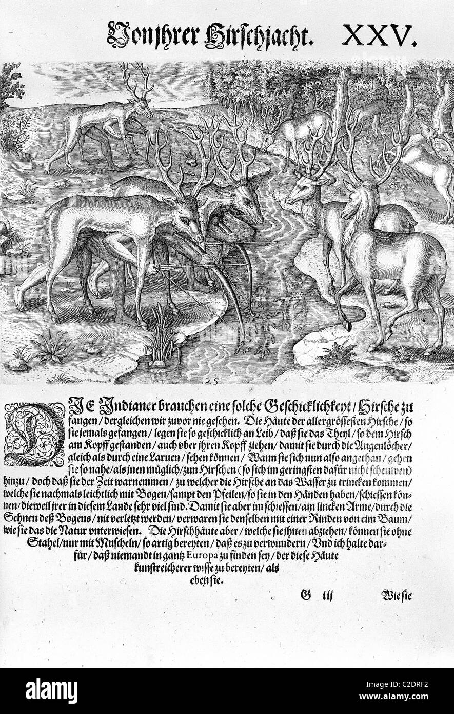 Hunting for skins Black and White Stock Photos & Images - Alamy