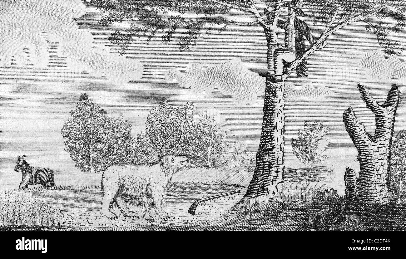 Lewis and clark expedition illustration hi-res stock photography and ...