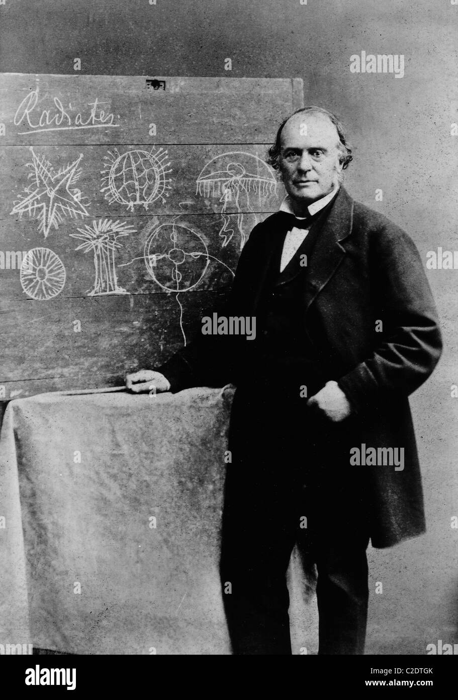 Louis agassiz hi-res stock photography and images - Alamy