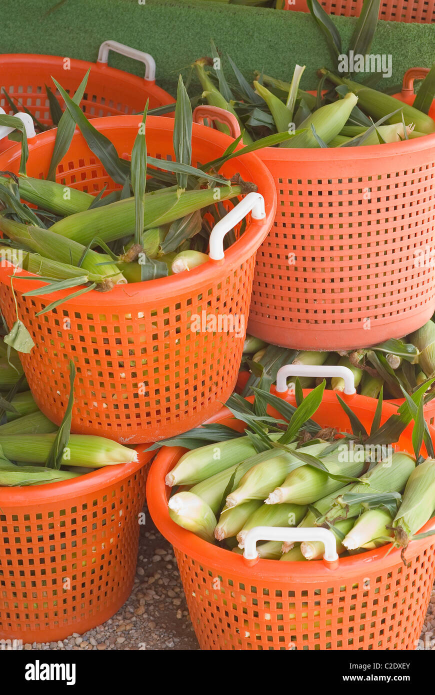Fresh picked corn hi-res stock photography and images - Alamy